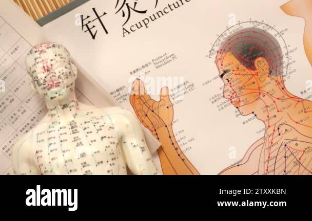 Acupuncture chart china Stock Videos & Footage - HD and 4K Video Clips ...