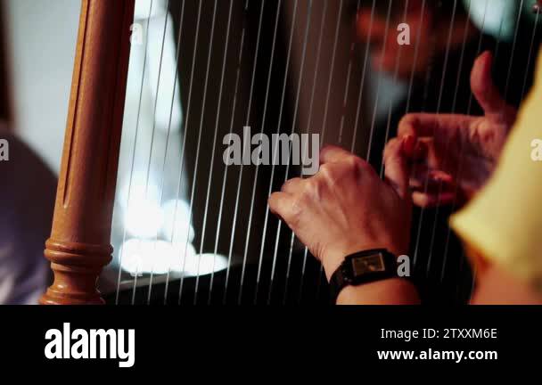 Girl playing the harp. Stringed musical instrument and young women ...