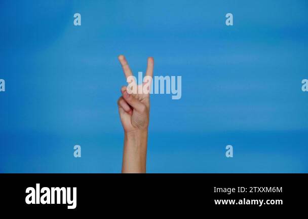 Female hand counting from 1 to 5 on blue background with copy space ...