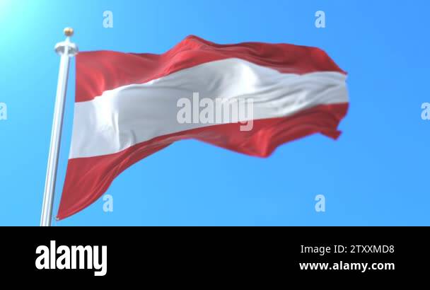 Gatto comune Stock Videos & Footage - HD and 4K Video Clips - Alamy