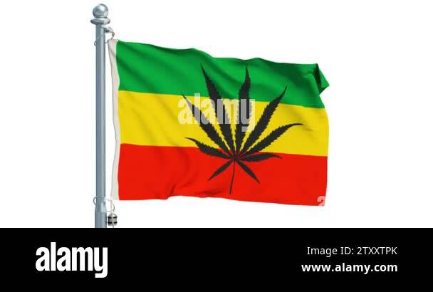 Rasta weed Stock Videos & Footage - HD and 4K Video Clips - Alamy