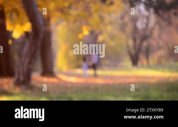 People walk the park. People walk slowly relax in the forest Stock ...