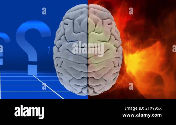 Split brain Stock Videos & Footage - HD and 4K Video Clips - Alamy