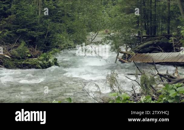 Mountain stream with rapids. Misty mysterious brook. Small foggy river ...