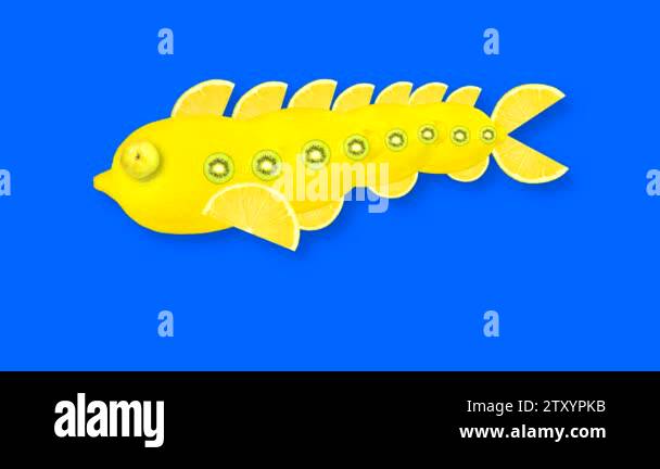 Looping animated video of a yellow fish made from lemon with kiwi ...