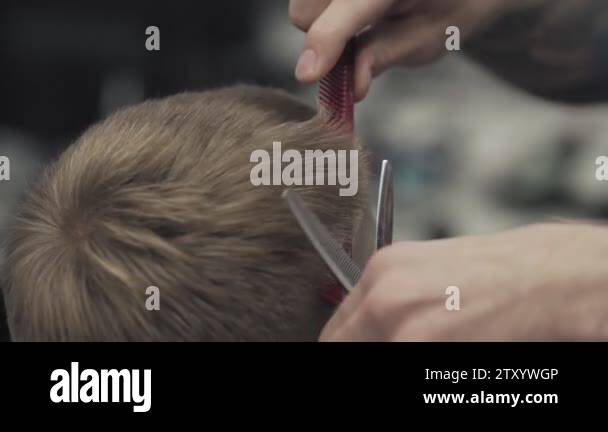 Barber cuts hair in barbershop. Close up barber cuts hair of client ...