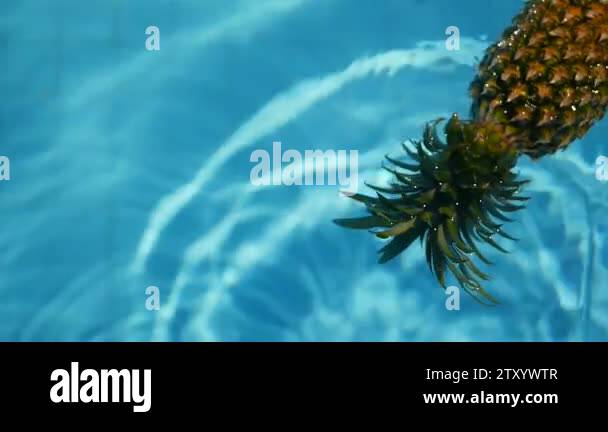 Pineapple Floating In blue Water In Swimming Pool. Healthy Raw Organic ...