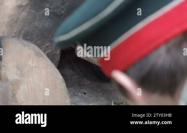 Cooking in a clay oven outdoor. Food to be cooked in a cast-iron ...