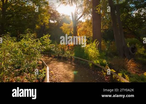 Dramatic feel Stock Videos & Footage - HD and 4K Video Clips - Alamy