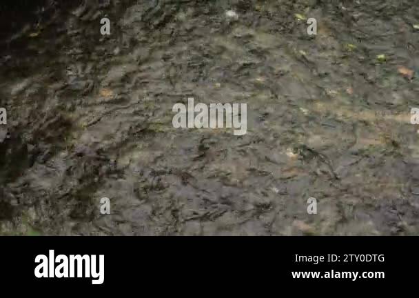 Shallow stream shallow stream Stock Videos & Footage - HD and 4K Video ...