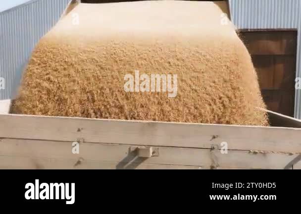 Corn transportation Stock Videos & Footage - HD and 4K Video Clips - Alamy