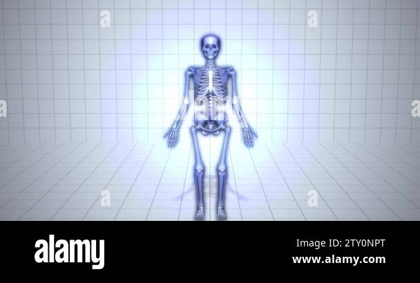 3D animated medical skeleton animation - Humerus Bone Stock Video ...