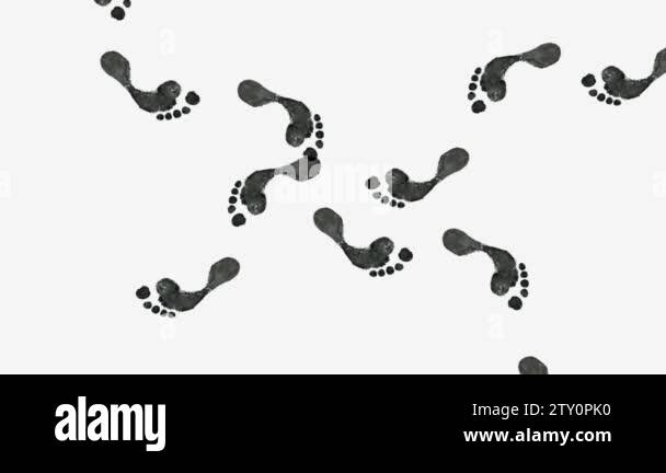 Animated footprints on white background Stock Video Footage - Alamy