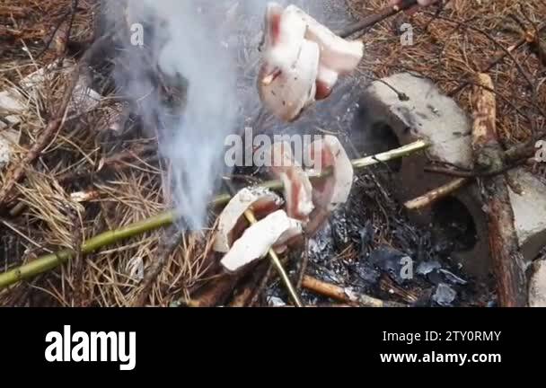 Fire stick farming Stock Videos & Footage - HD and 4K Video Clips - Alamy