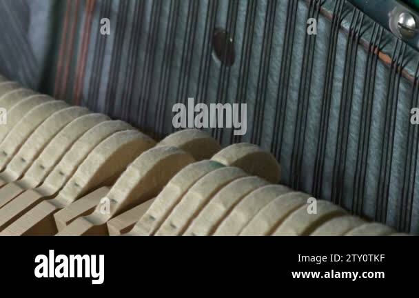 Piano hammers covered with soft felt, striking the strings inside the ...