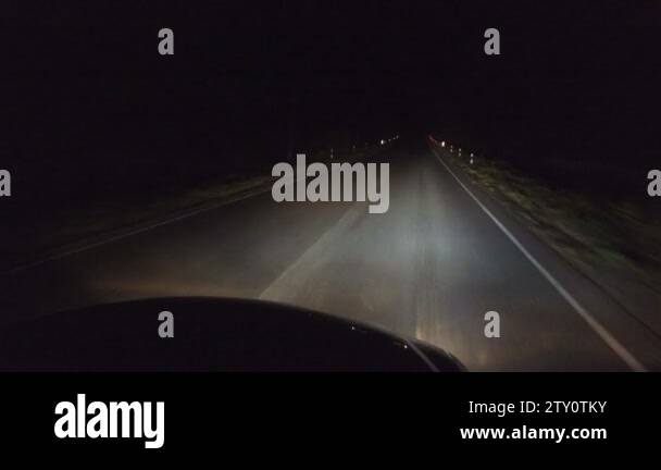 Night road, highway through tunnel of trees in forest, light of car ...