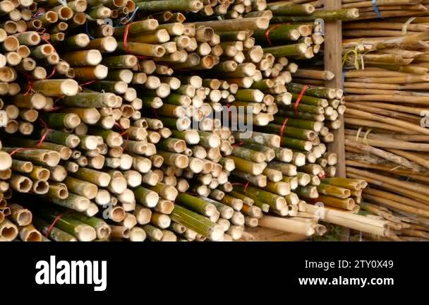 Round cross sliced bamboo trunk bundles in stack prepared for use as a ...
