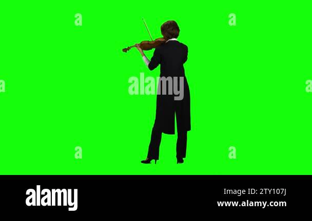 Woman stands with her back and plays the violin. Green screen. Back ...
