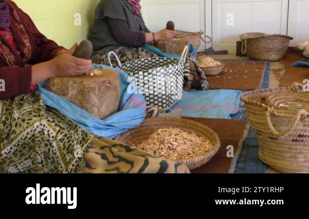 Two Arabic women working hard cracking argan tree nuts for argan oil ...
