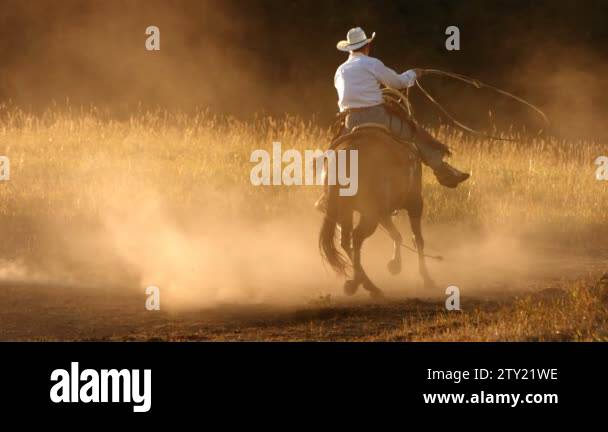Cowboy roping Stock Videos & Footage - HD and 4K Video Clips - Alamy
