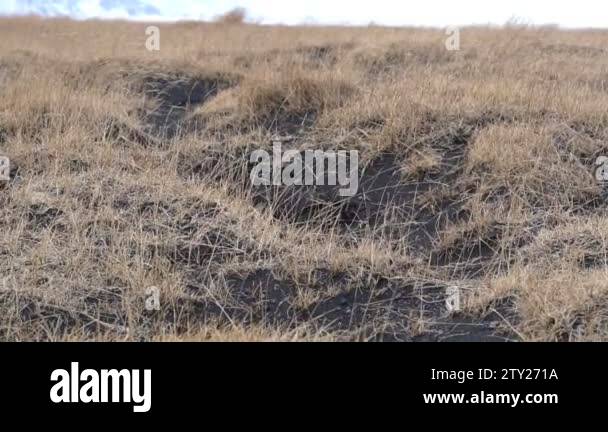 Dry climate windy weather Stock Videos & Footage - HD and 4K Video ...