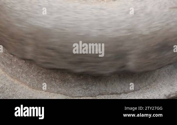 Close-up footage of medieval hand-driven millstone grinding wheat. The ...