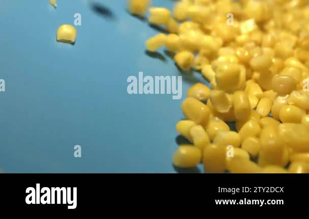 Canned corn kernels on blue background. 2 Shots. Slow motion.1. Canned ...