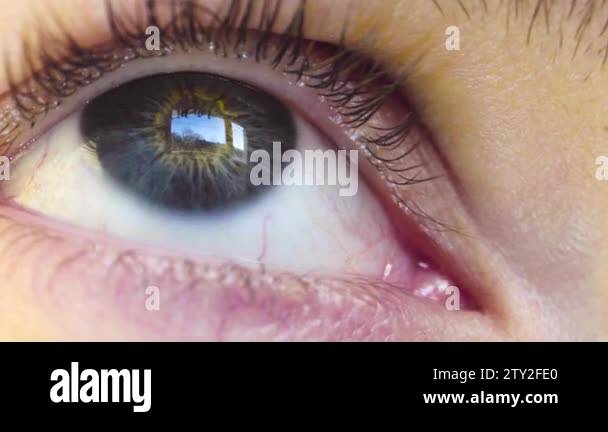 Beautiful Blue Eye of Young Woman Looking Around and Blinking. Pupil ...