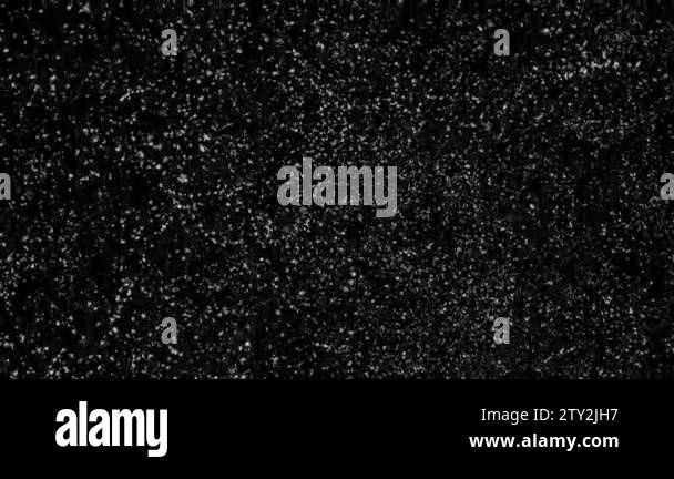 Gently Falling Glittering Snow // 4k 4k Detailed Snowfall Video ...