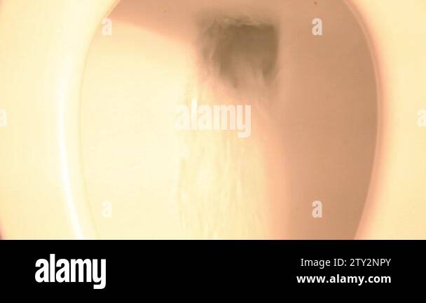 Flushing down toilet Stock Videos & Footage - HD and 4K Video Clips - Alamy