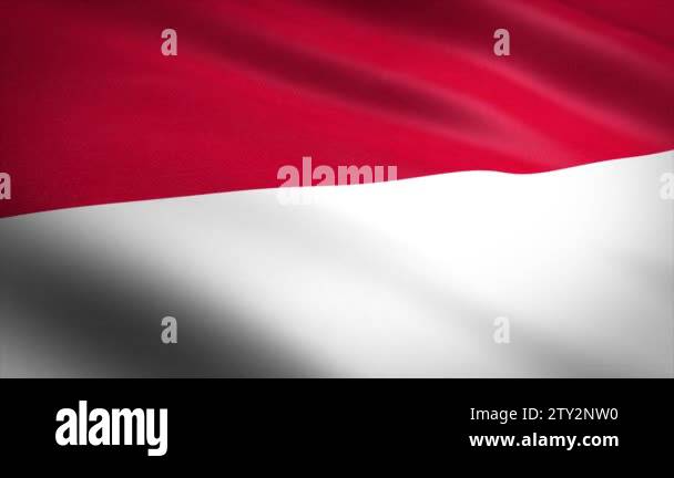 Flag of Monaco. Waving flag with highly detailed fabric texture ...