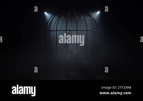 Gymnast on a scene in a cage performs acrobatics in bird costume. Black ...
