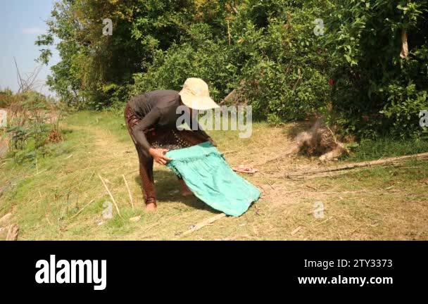 Clammed Stock Videos & Footage - HD and 4K Video Clips - Alamy