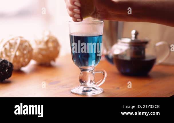 A woman squeezes a lemon into a Cup of floral blue Thai tea Blue ...