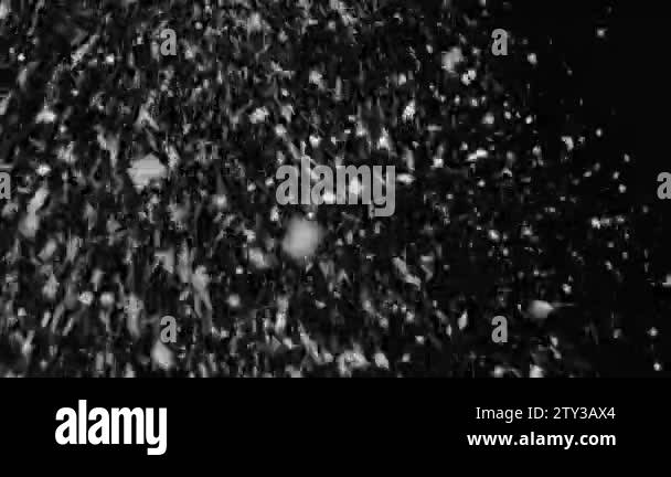 Stormy Weather, Snow Falling, Big Snowflakes with Gusts of Wind ...