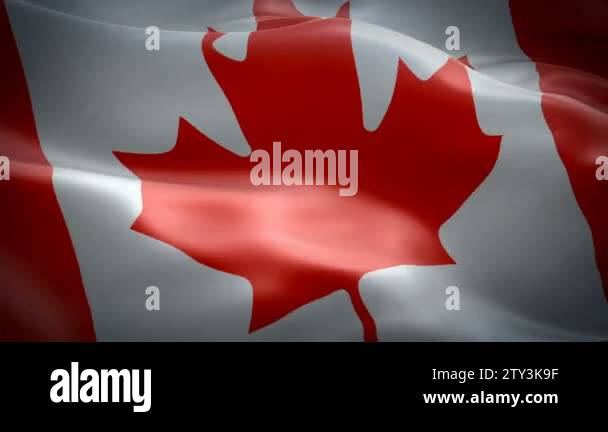 Canada flag video waving in wind. Realistic Canadian Flag background. Canada Flag Looping ...