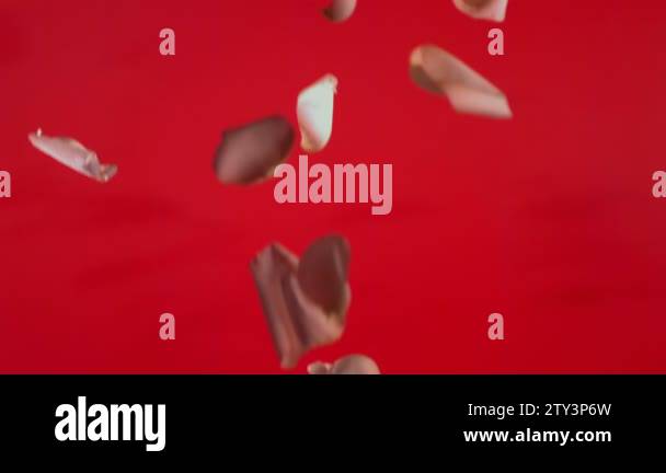 Rose petals falling Stock Video Footage - Alamy