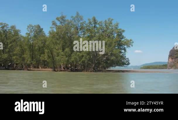 Biome ecology Stock Videos & Footage - HD and 4K Video Clips - Alamy