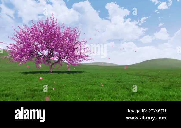Green hills single tree Stock Videos & Footage - HD and 4K Video Clips ...