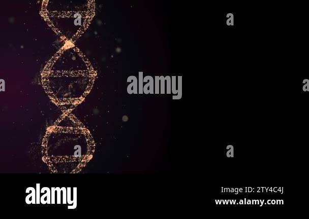 Human digital DNA appears evolving and growing, cells formed by ...