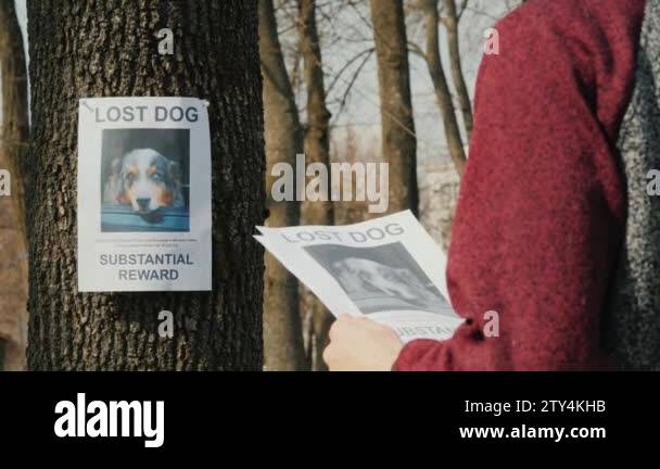 Flyer for ads Stock Videos & Footage - HD and 4K Video Clips - Alamy