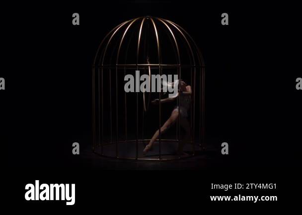 Acrobatics aerial Stock Videos & Footage - HD and 4K Video Clips - Alamy