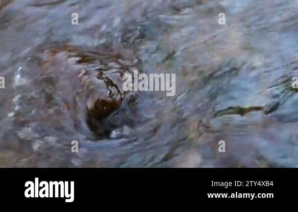 Rapid flow of the river. Clean and clear water flows through the stones ...