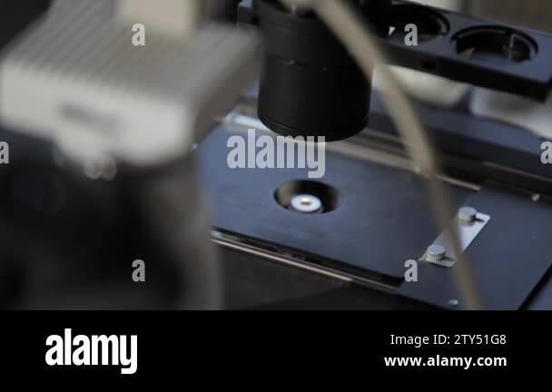 Preparate Stock Videos & Footage - HD and 4K Video Clips - Alamy
