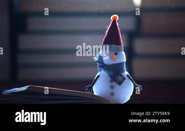 Snowman tea Stock Videos & Footage - HD and 4K Video Clips - Alamy