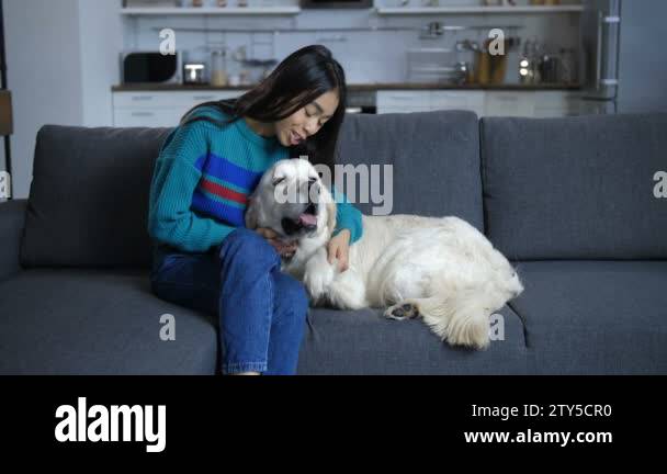 Four-legged friend gives paw to loving owner and puts the head on her ...