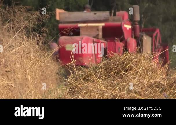 Wheat grain cut out Stock Videos & Footage - HD and 4K Video Clips - Alamy