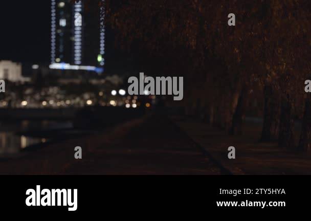 Night city alley with lanterns and trees in autumn. Empty path with ...