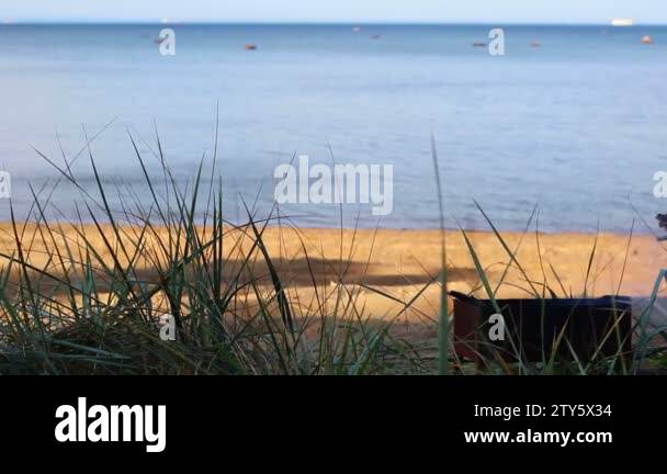 Smoke from bonfire on beach Stock Videos & Footage - HD and 4K Video ...