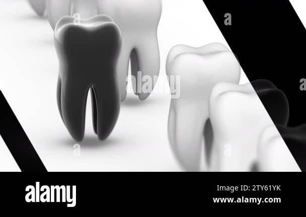 3d illustration human tooth Stock Videos & Footage - HD and 4K Video ...